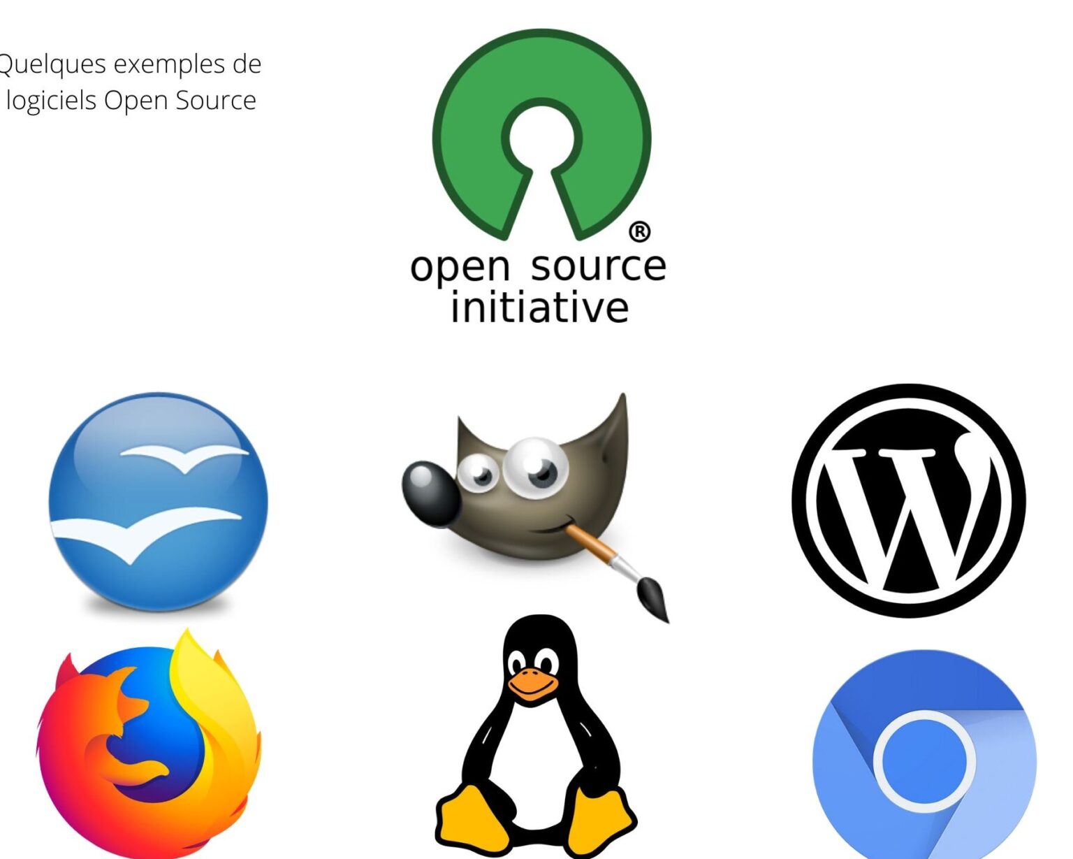 Exemple Codage HTML : Découvrez Comment Créer Votre Première Page Web ...