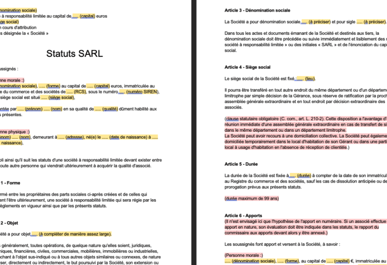 Exemple de Statuts SAS : Le Guide Complet Pour Créer Votre Société par ...
