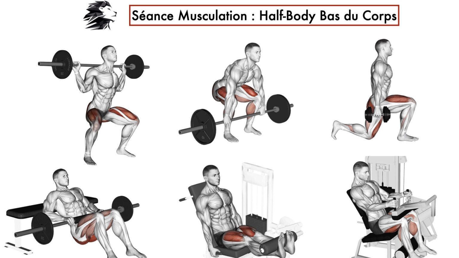 Exemple Séance Musculation : Découvrez le Programme Idéal pour des ...