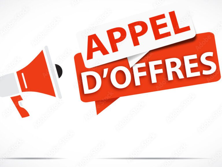Exemple D'Appel D'Offres : Guide Pratique Pour Gagner Votre Marché ...