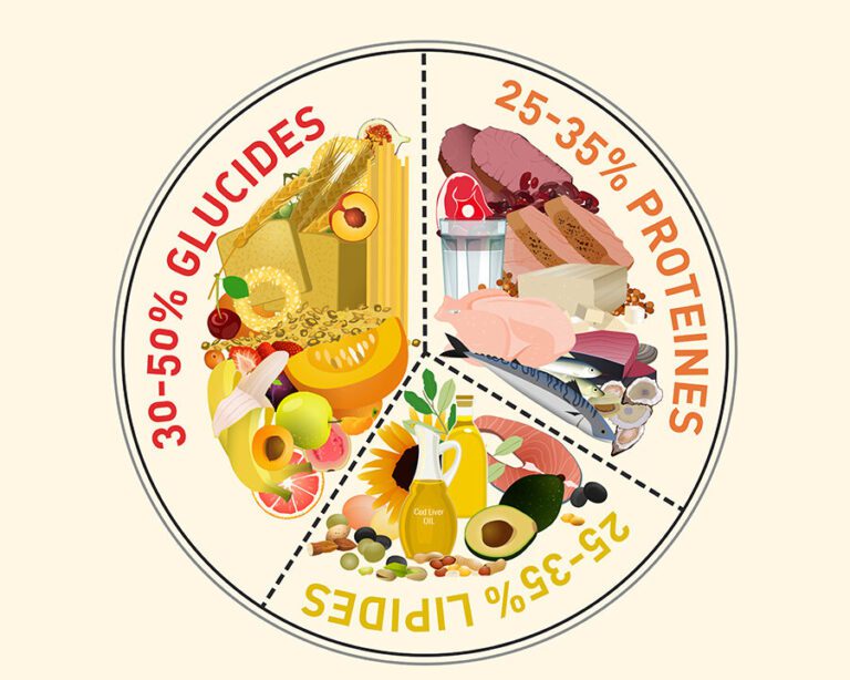 Exemple Entraînement Musculation : Transformez Votre Corps en 4 ...