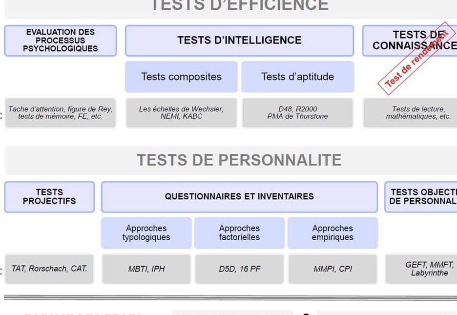 Exemple Test WAIS : Découvrez Comment Évaluer Votre Intelligence ...